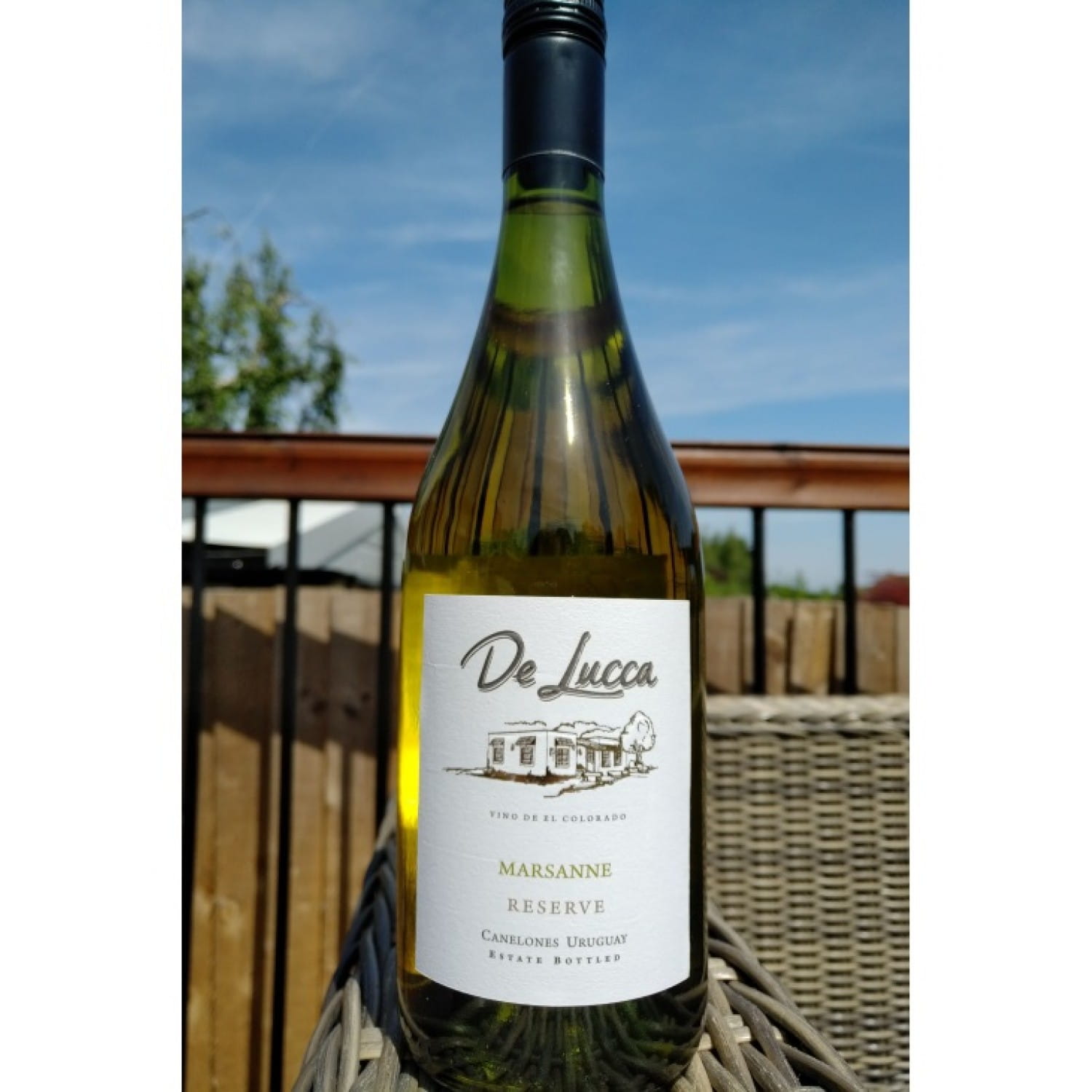 White wine | Wines of Uruguay